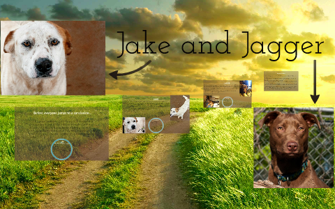 Jake and Jagger by elizabeth vandergrift on Prezi