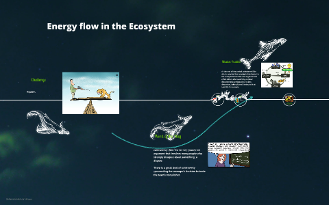 Energy flow in the Ecosystem by christina sandoval on Prezi
