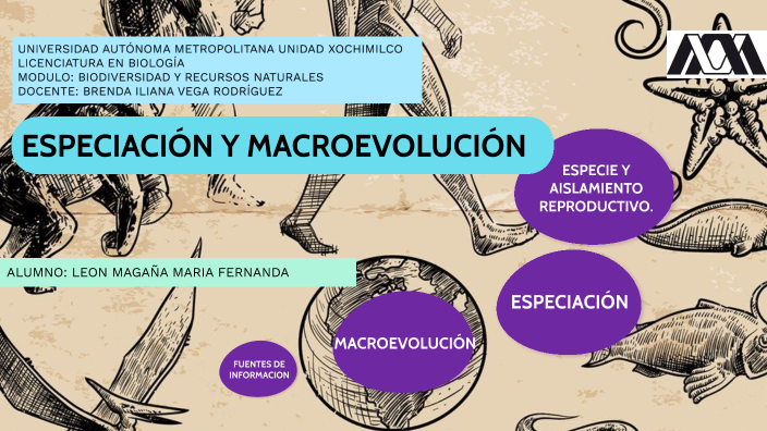 Especiación y macroevolución by fernanda leon on Prezi