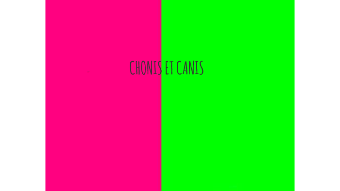 CHONIS ET CANIS by Lucía Fernández on Prezi