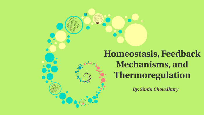 Homeostasis, Feedback Mechanisms, and Thermoregulation by Simin ...