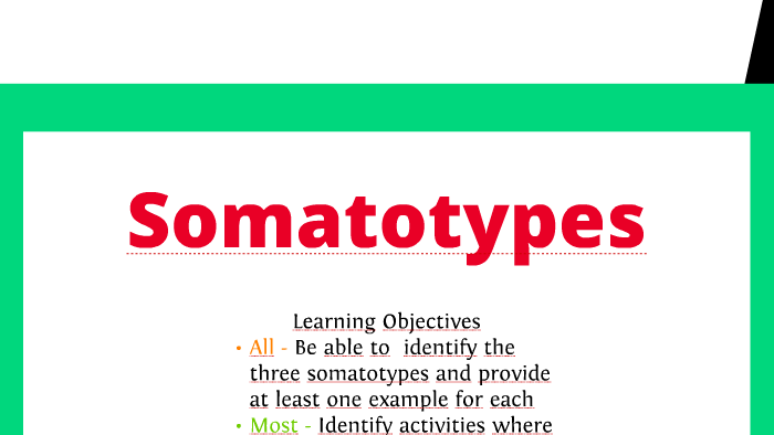 Different Body Types - Somatotypes by Michelle Vincitorio on Prezi