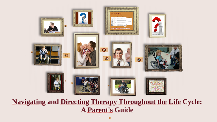 Navigating and Directing Therapy Throughout the Life Cycle by Elissa ...