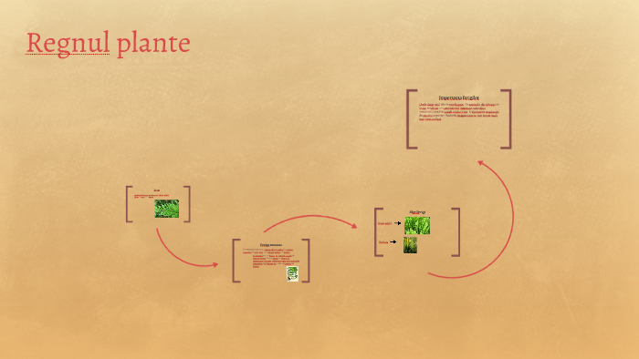 Regnul plante by Georgia Nitu on Prezi