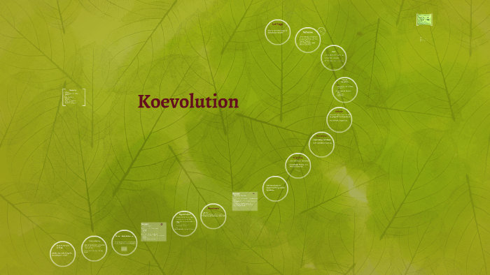 Koevolution by Lea Fszck on Prezi