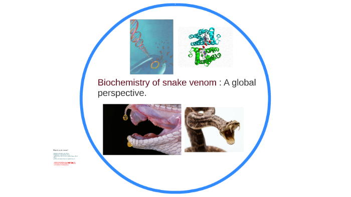 Biochemistry of snake venom : A global perspective. by Madhushika Silva