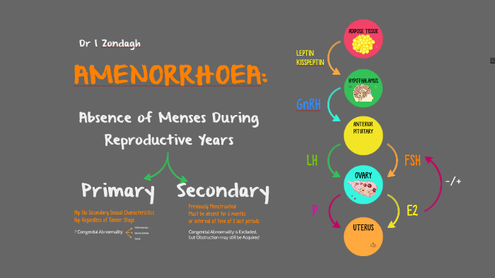 AMENORRHOEA: by Inge Zondagh on Prezi