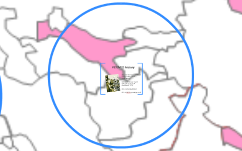 SDC's VED strategy by Andrea Inglin on Prezi