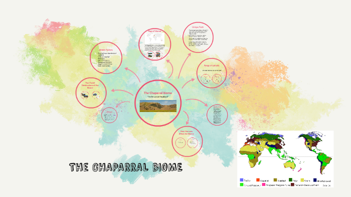 The Chaparral Biome by Corey Clancy on Prezi