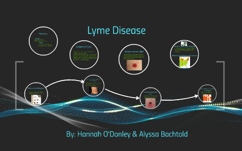 What is Lyme Disease? by Hannah O'Donley on Prezi