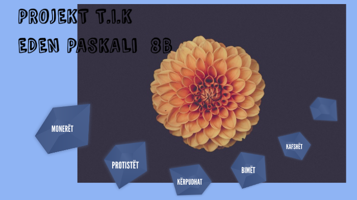 Projekt TIK Eden Paskali 8B by Greis Paskali on Prezi