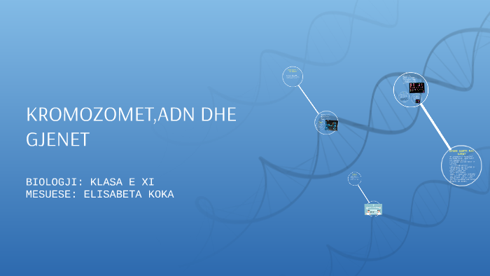 KROMOZOMET,ADN DHE GJENET by frenci koka on Prezi
