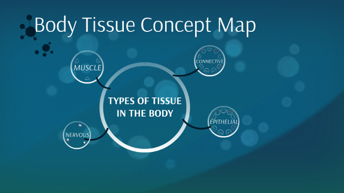 Body Tissue Concept Map by Kelsey Truex on Prezi