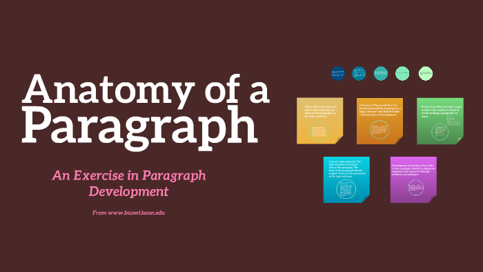 Anatomy of a Paragraph by Donna Smith on Prezi