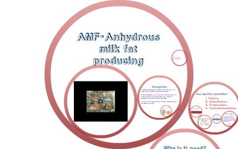 AMF-Anhydrous milk fat producing by Fruzsina Ujságh on Prezi