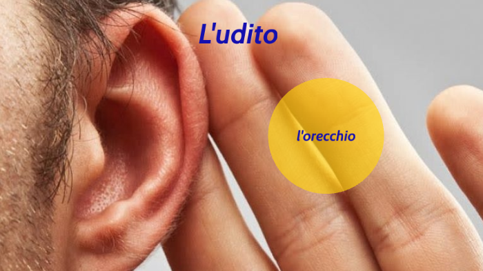 L'UDITO by Seconda L on Prezi