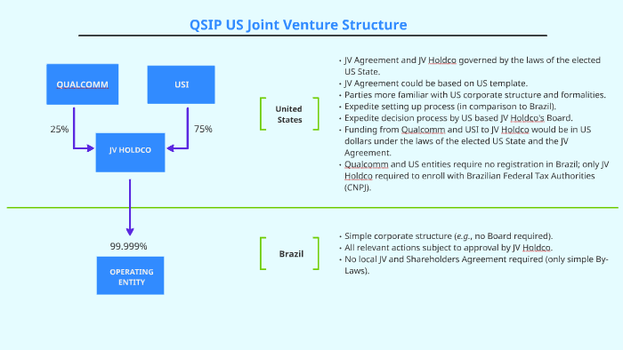 QSIP Joint Venture Structure by Glauco Moreira on Prezi