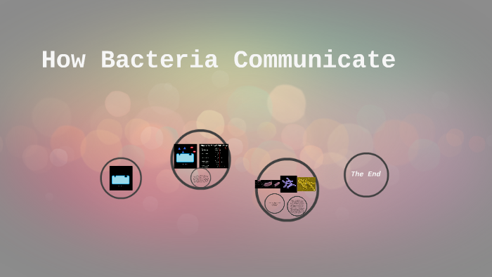 How Bacteria Communicate by Madeline Marshall on Prezi