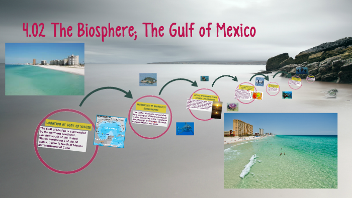 4.02 The Biosphere; The Gulf of Mexico by Kyla Ball on Prezi