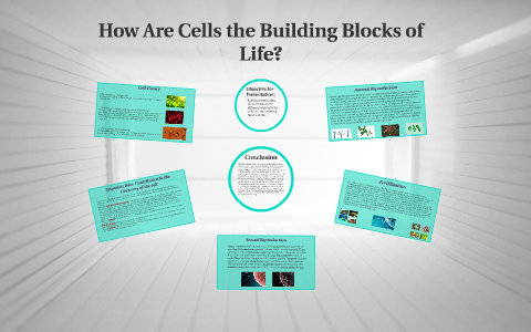 How Are Cells the Building Blocks of Life? by Jannat Gill on Prezi