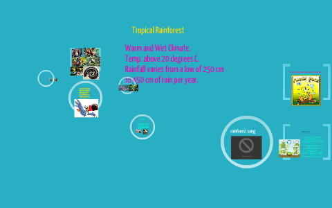 Tropical Rainforest by Miah Brown on Prezi