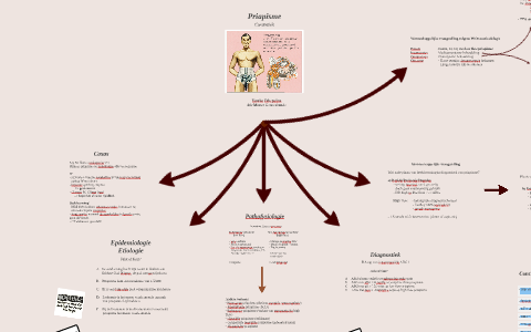 Priapisme by Natalia Zabegalina on Prezi