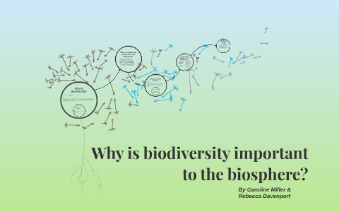 Why is biodiversity important to the biosphere? by Rebecca Davenport on ...