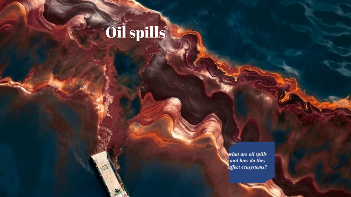 oil spill inquiry by zaina alam on Prezi