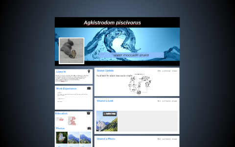 water moccasin snake by shyann collins on Prezi