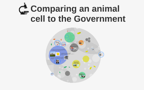 Comparing an animal cell to the Government by Andre Martel on Prezi