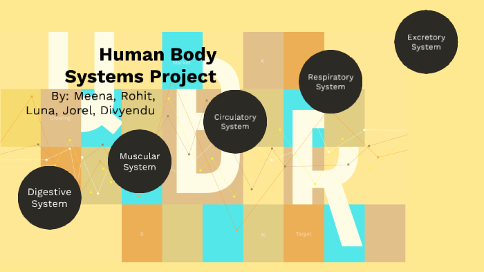 Human Body Systems Project by Luna Liao on Prezi