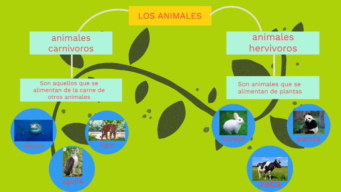 tipos de animales by JORGE ADRIANO BARDALES ARROYO on Prezi