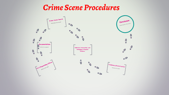 CSI Procedure by Jordan Rich