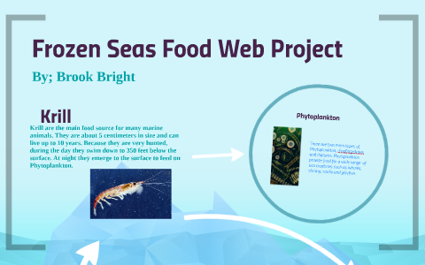 Frozen Seas Food Web Project by Brook Bright on Prezi