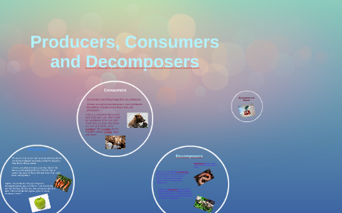 Producers, Consumers and Decomposers by Savanna Chanminaraj on Prezi