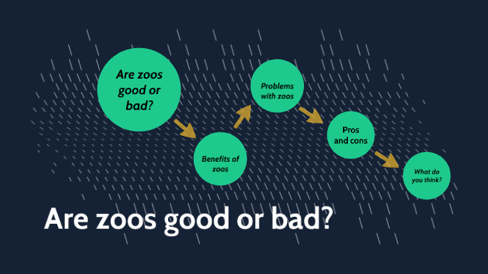 Are zoos good or bad? by Lisa Andrade on Prezi