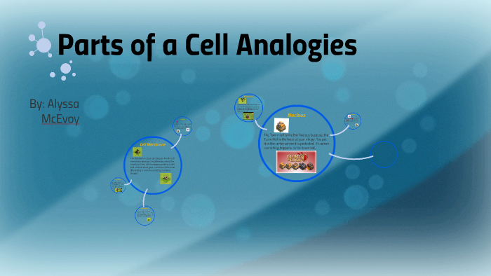 Parts of a Cell Analogies by Alyssa McEvoy on Prezi