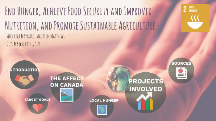 End hunger, achieve food security and improved nutrition, and promote ...