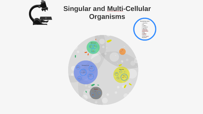 Singular and Multi-Cellular Orginisms by Haley Atkins! on Prezi