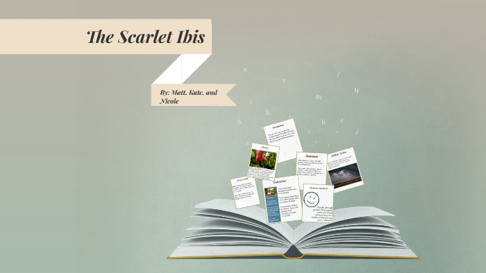 The Scarlet Ibis Plot Pyramid by M. Craig