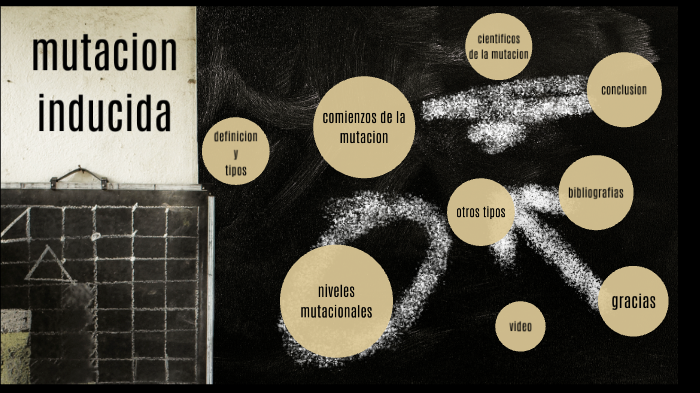 mutacion inducida by Mafe Bautista on Prezi