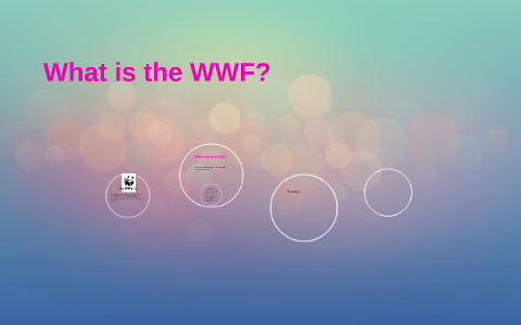 What is the WWF? by Matthew Celotto on Prezi