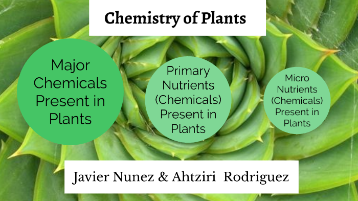 Chemistry of Plants by Ahtziri Rodriguez on Prezi