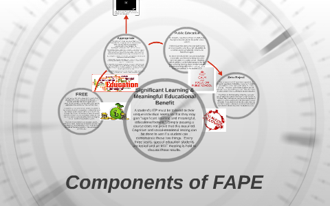 Components of FAPE by Stacy Johnson on Prezi