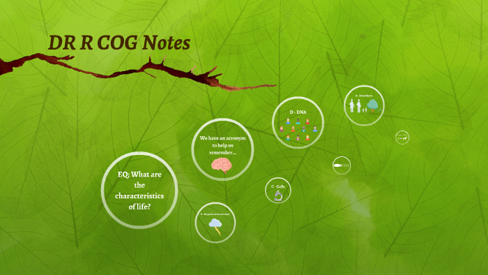 DR R COG Notes by Ashley Brown on Prezi