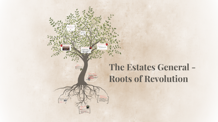 The Estates General - Roots of Revolution by on Prezi