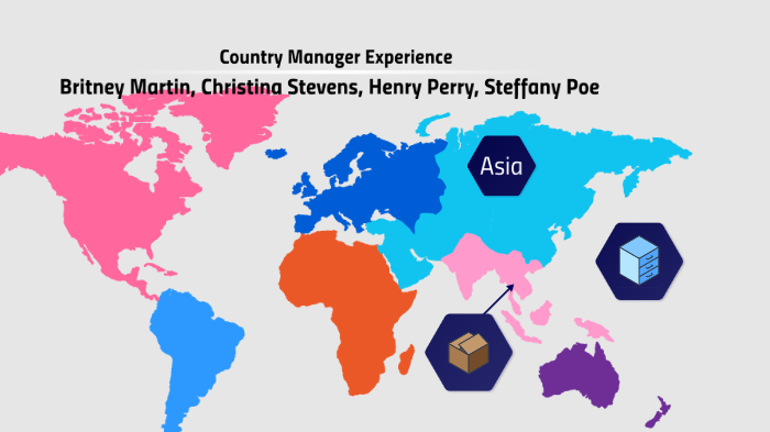 Country Manager Presentation by H P on Prezi