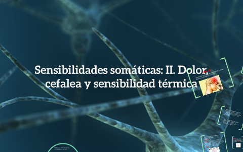Sensibilidades somáticas: II. Dolor, cefalea y sensibilidad by Fisiología Grupo 3 on Prezi