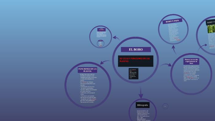 EL CICLO DEL BORO Y SUS FUNCIONES EN LAS PLANTAS by leonardo violi on Prezi
