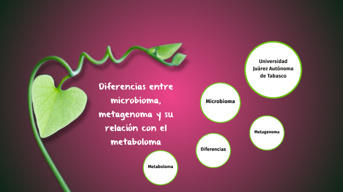 Diferencias entre microbioma, metagenoma y su relación con el ...